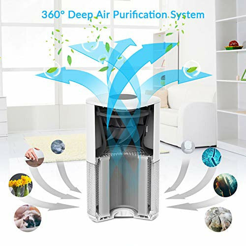 Rigoglioso air purifier sy910 store