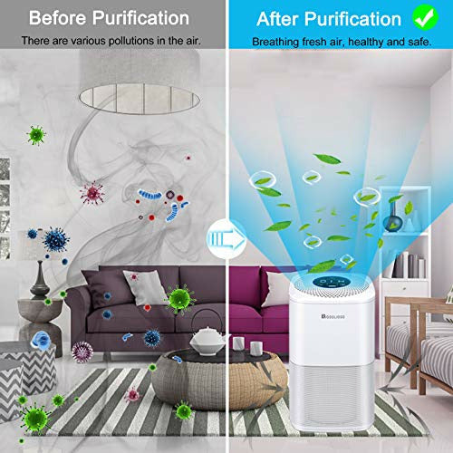 Rigoglioso air purifier sy910 store