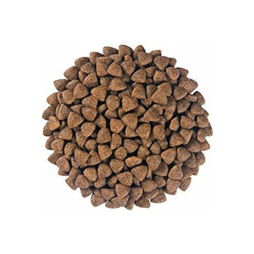 Hills Prescription Diet Canine R/D - BargainFox.com